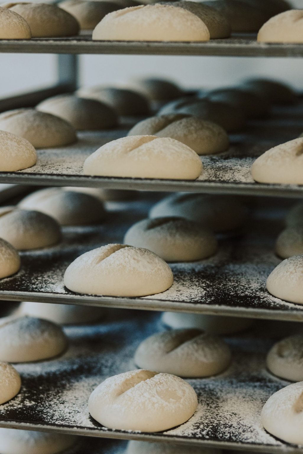 Visit Heidi's Bakery In Store - Elphicks